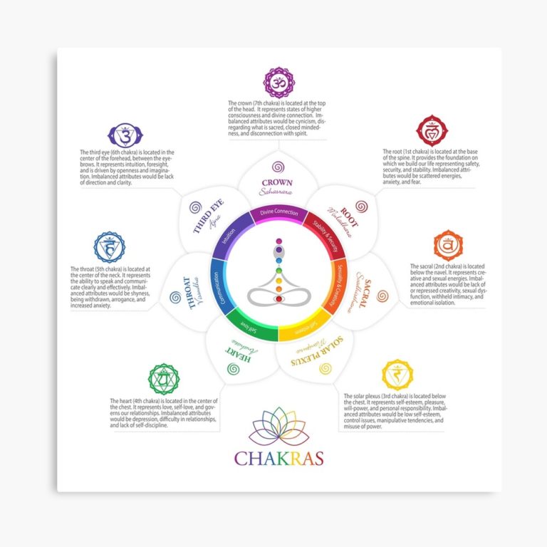 7 Chakra Lotus Chart Poster – Chakra Plaza